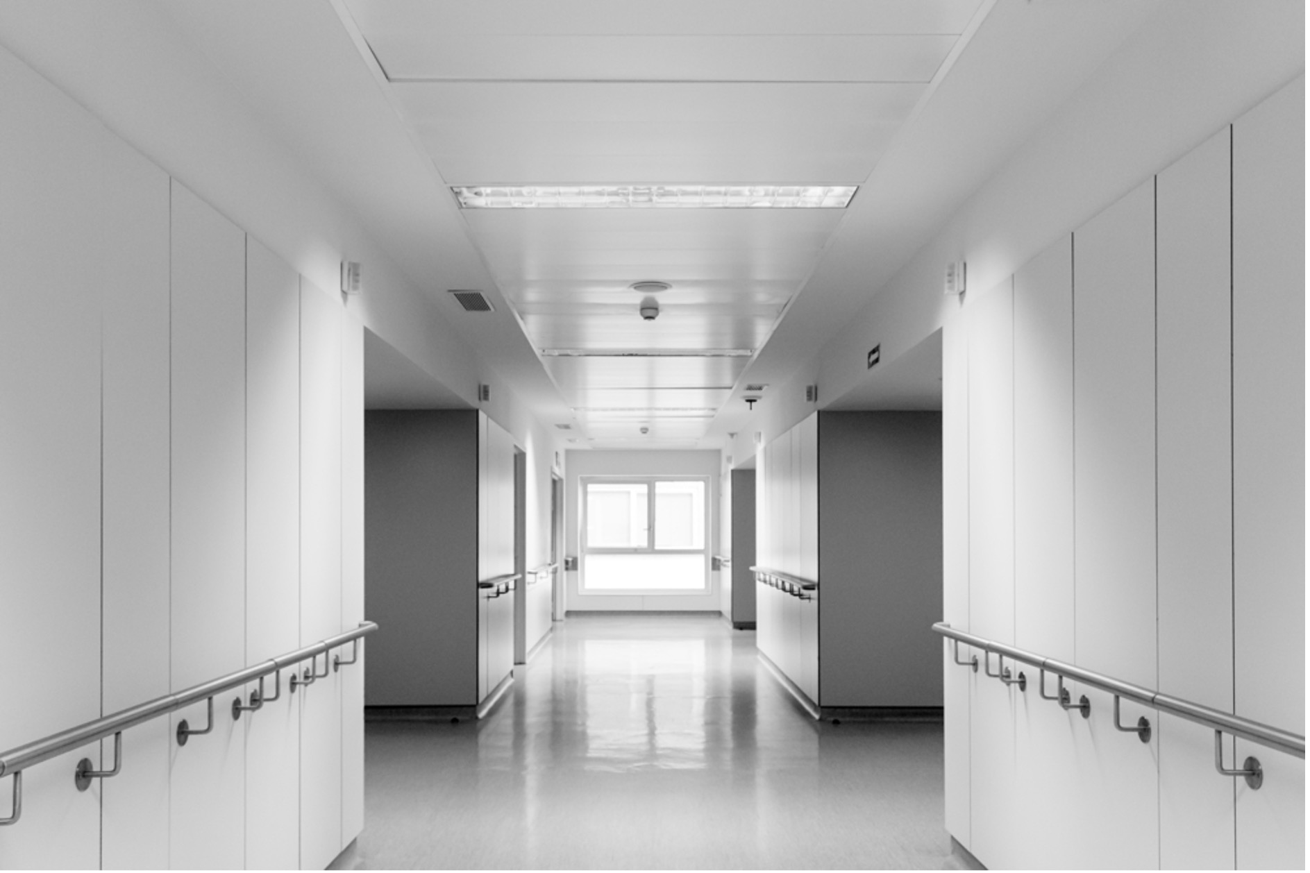 Cladding Boards for Clean, Compliant Interiors - Octego Ltd